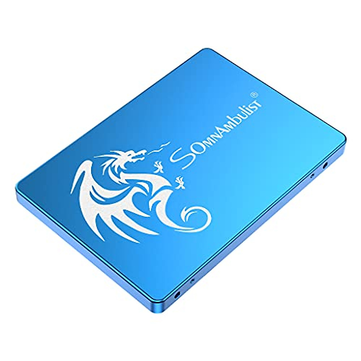 Somnambulist 2.5" Built-in SSD Hard Disk SATA3 120GB 240GB 60GB SSD (Blue Dragon-120GB)