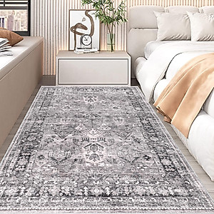 HEBE Washable Area Rug 3x5 Entry Rug Soft Distressed Area Rugs Non Slip Indoor Door Mat Boho Rug Oriental Accent Throw Rug Floor Carpet for Bedroom Kitchen Entryway Bathroom