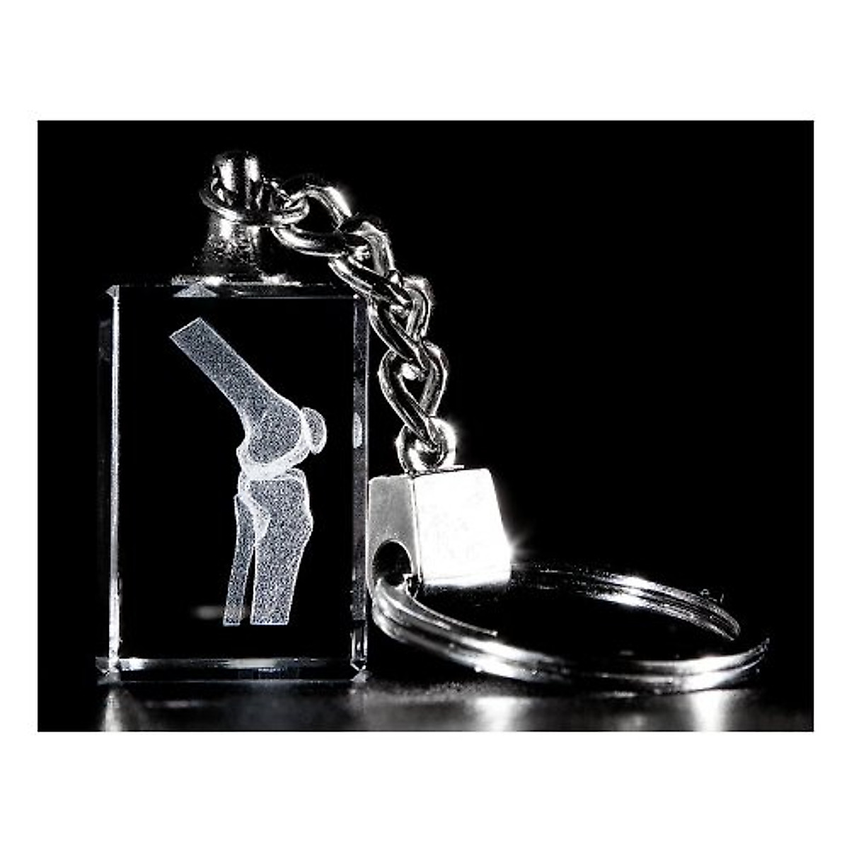 Blue Tree Publishing Knee Joint 3d Laser Key Chain Crystal, Anatomy, Bone, Physical Therapy Sports