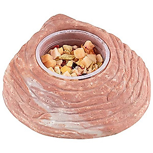 Healthy Herp Fruit Mix Instant Meal Reptile Food 7 x 0.21-Ounce (6.0 Grams) Cups