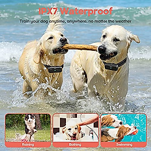 PECOLE Dog Training Collar for 2 Dogs, Shock Collar with Remote for Small Medium Large Dogs, Waterproof Rechargeable Electronic Dog Collars with Beep, Vibration and Shock Modes