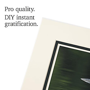 Lantern Press 11x14 Inch Matted Art Print Wall Decor, Loon and Chick