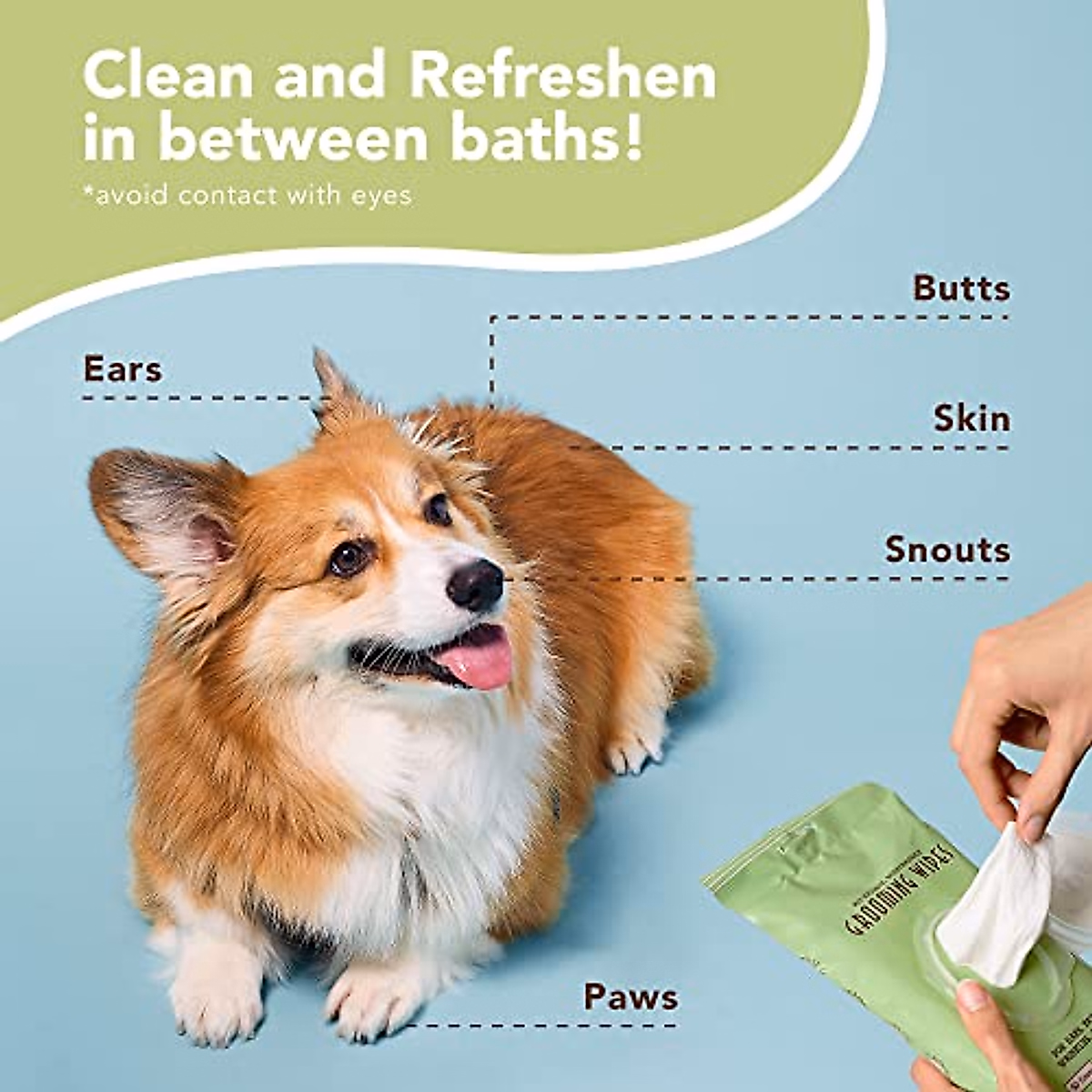 Natural Dog Company Grooming Wipes with Aloe Vera, Cleanses, Soothes, & Deodorizes, Fragrance Free, Hypoallergenic, Biodegradable Wipes (50 Wipes) Aqua