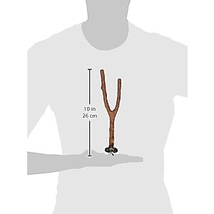 Prevue Pet Products Cosmic Crunch Perch Medium 1022