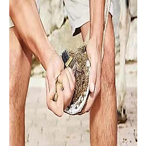 Ueemph Hoof Picks for Horses,Wooden Handle Hoof Pick with Brush，Sturdy and Durable，Excellent Texture， (1 Pieces)