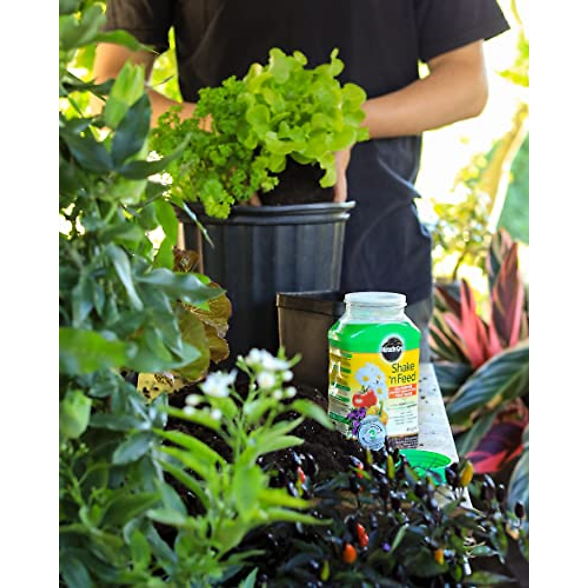 453g Shake n Feed All Purpose Plant Fertilizer