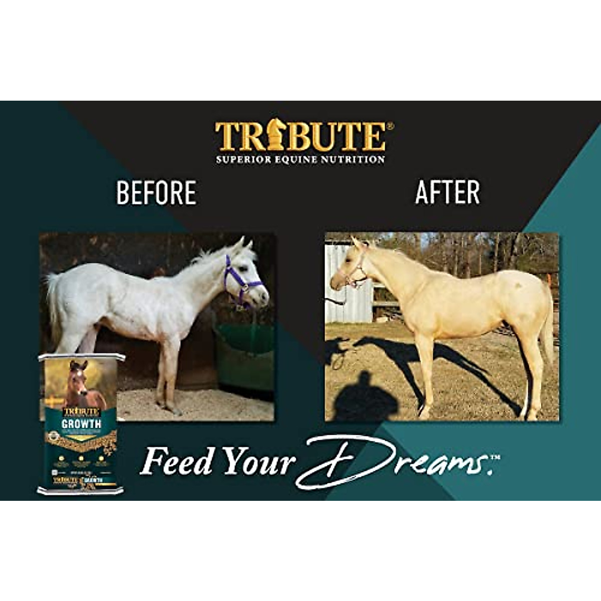 TRIBUTE Kalmbach Feeds Growth Pellets for Horse, 50 lb