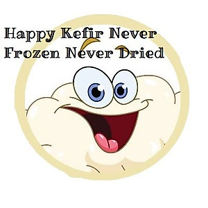 Milk Kefir Grains, Turkish strain, Bulgaros, Pajaritos.