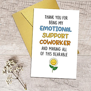 Qiliji Funny Coworker Greeting Card, Coworker Birthday Card, Birthday Card for Colleague, Coworker Thank You Card, Emotional Support Coworker Card