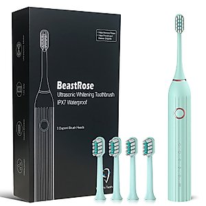 BeastRose Ultrasonic Electric Toothbrushes 5 Modes 5 Brush Heads USB Fast Charge Powered Toothbrush for Adults & Kids (Green)