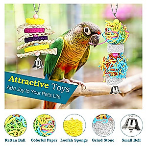 Lewondr Parrot Bird Toys Feeder Chewing Toy, Creative Parrot Shredder Entertaining Toy, Hanging Foraging Box, Transparent View Acrylic Bird Treat Feeder for Cockatiel, Budgie, Parakeet, Anchovies