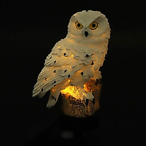 Antilog Garden Light Solar Powered Waterproof Garden Light Outdoor Lawn Lamp for Home Garden Lighting(White)