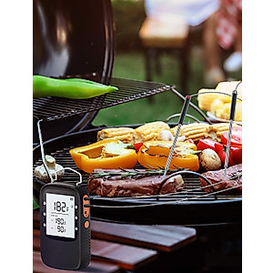 Govee Meat Thermometer 2.5mm Probe Replacement 2-Pack for Model H5055