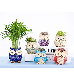 Claywa Ceramic Owl Succulent Pots Cute Animal Plant Planters 2.75" to 3.35" with Drainage Pack of 6 Plants Not Included