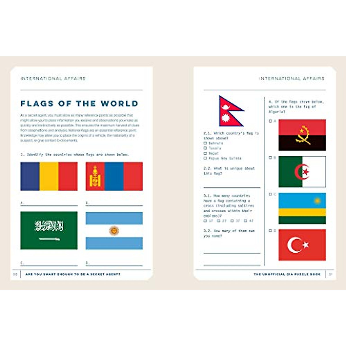 Are You Smart Enough to Be a Secret Agent?