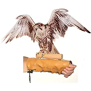 Avianweb™ Arm & Hand Perch (Large (1.5" Dowel))