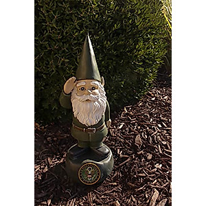 Red Carpet Studios 35161 Military Garden Gnome, United States Army