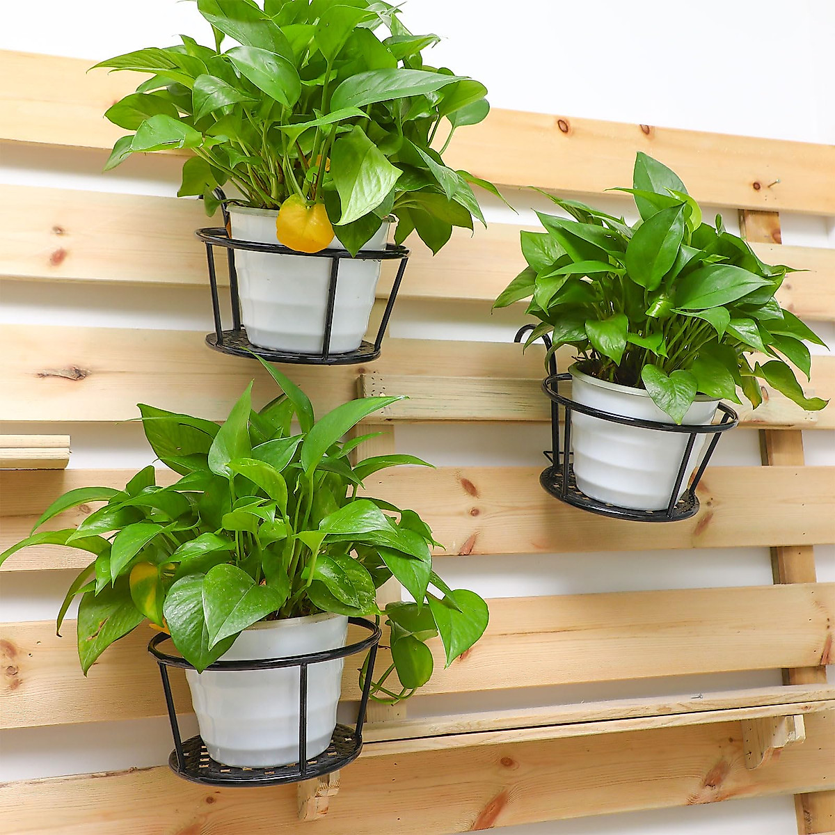 Dandat 6 Pcs 8.7'' Iron Metal Railing Flower Pot Hanging Railing Planter Baskets Stair Railing Plant Holder for Patio Balcony Outdoor Plants(Black)