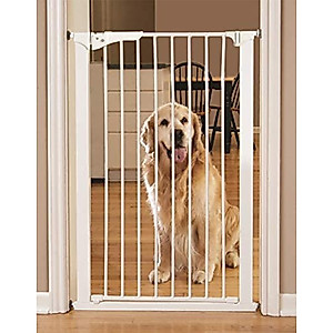 Command Pet Tall Pressure Gate, 42" H/29-32" W, White (PG5142)