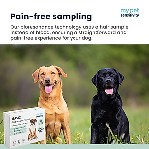 My Pet Sensitivity Test - Home Dog Sensitivity Test | 300 Items Checked | Fast 3-5 Day Results | Painless Hair Sample Method | Food, Environment & Additives Analysis | All Dog Breeds & Ages