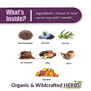 Amber NaturalZ - Vibactra Plus Immune Support Plus - an antioxidant enriched formula helps fight free radicals, supports healthy yeast balance, maintains healthy gut flora, supports upper respiratory health and oral health - 4 Oz