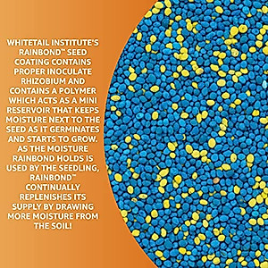 Whitetail Institute Imperial Clover Food Plot Seed (Spring and Fall Planting), 4-Pound (1/2 Acre)