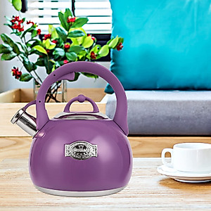 Tea Kettle for Stovetop, Food Grade Stainless Steel Water Kettle, Tea Pot for Home & Kitchen, 3.1 Quart