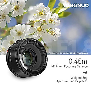 YONGNUO YN50mm F1.8C Lens, Large Aperture Auto Focus Lens, 50MM F1.8 for Canon EF Mount EOS Cameras