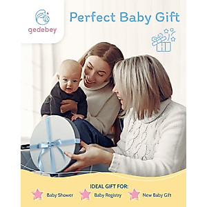 Baby Fruit Food Pacifier Feeder -2 Pack Silicone Baby Feeder Pacifiers | Baby Teether | Baby Mesh Feeder | Silicone Teether Feeder | Feeding Pacifier for Babies | Baby Fruit Teethers (Green&Yellow)