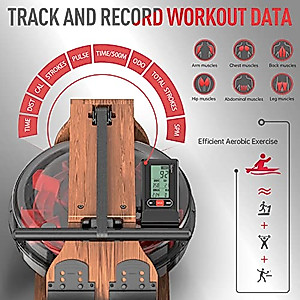 JOROTO Water Rowing Machine for Home Use, Foldable Rower Machine 330lbs Weight Capacity with Bluetooth Monitor, Phone Holder