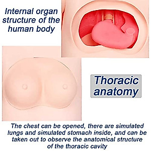 LVMMO 170cm Life Size Patient Care Manikin Training CPR Simulator Basic Geri Nursing Skills Geriatric Human Model Mannequin Full Body for Students Education Teaching Medical Training Skills