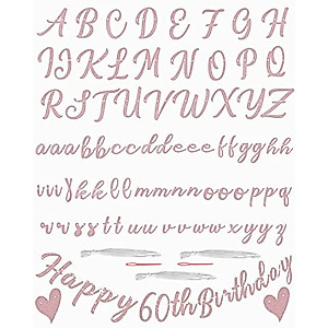 TopBashGo 102 Pcs Personalized Happy 60th Birthday Banner with Custom Name in Rose Gold Script, Bday Party Decorations Supplies Reusable Signs for Women