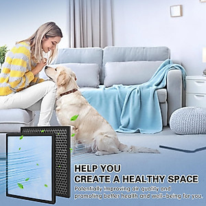 HSP001 Replacement Filter Set Compatible with HATHASPACE HSP001 Smart Air Cleaner Purifier, 4-in-2 HEPA Pre-Filter, H13 True HEPA, Cold Catalyst and Activated Carbon Filter