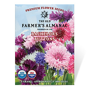 The Old Farmer's Almanac Bachelors Buttons Seeds - Approx 500 Flower Seeds - Non-GMO, Premium, Open Pollinated