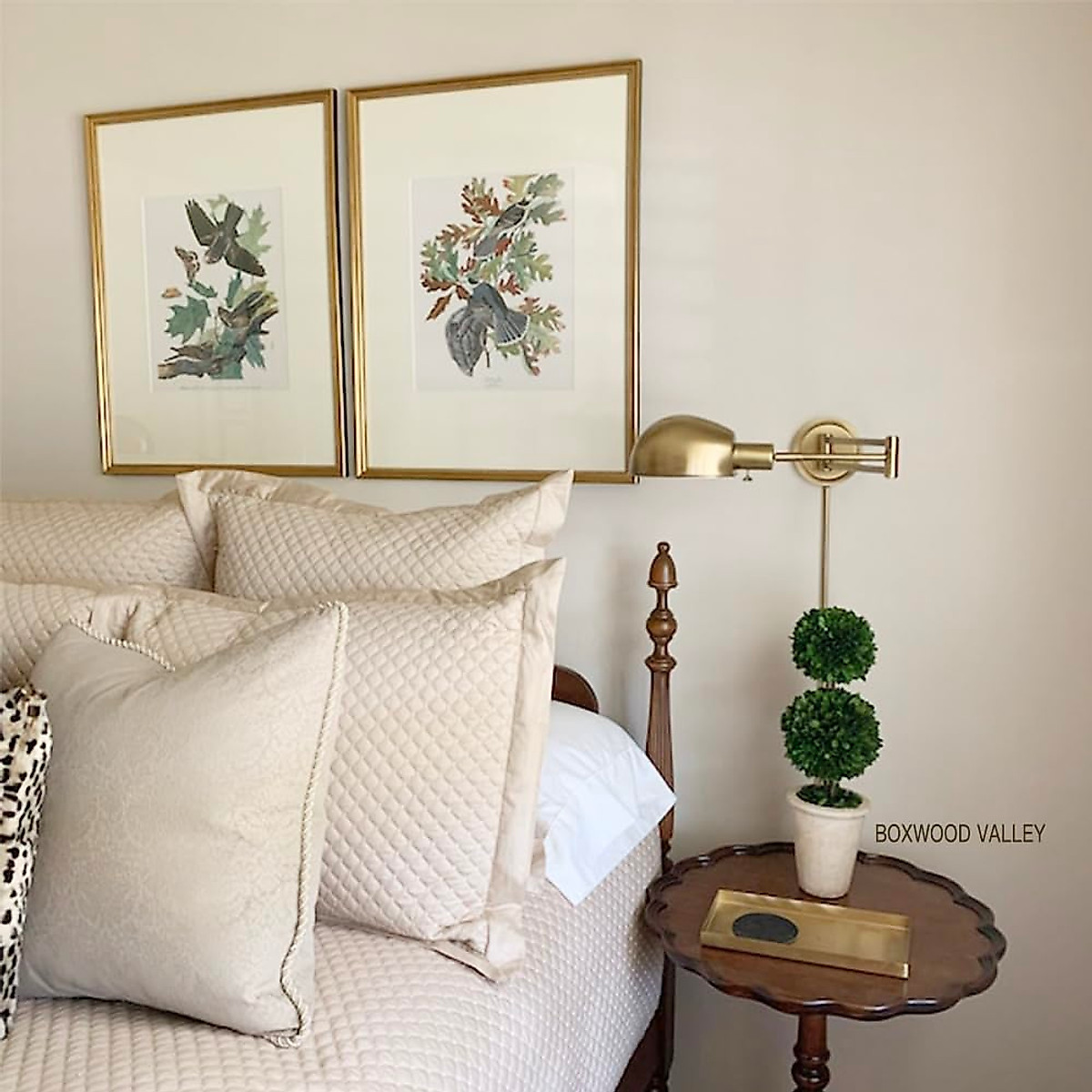 Boxwood VALLEY Real Preserved Boxwood Evergreen Potted Tree Globe Tree Topiary in Terracotta Planter, Home Decor Farmhouse (Double Balls Topiary, 20 inches)