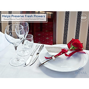 Royal Imports Floral Water Tubes/Vials for Flower Arrangements, Clear - 3" (1/2" Opening) - Standard - 25/Pack - w/Caps