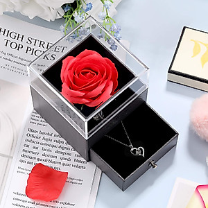 Hicarer Necklace Gift for Girlfriend I Love You in 100 Languages Projection Necklace with Preserved Red Real Rose Flowers in Box for Women Mom Wife on Mother's Day, Anniversary(Silver)