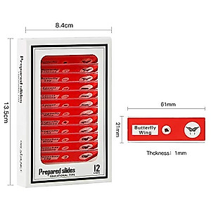 48pcs Kids Prepared Microscope Slides of Animals Insects Plants Flowers Specimens for Kids’ Microscopes