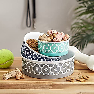 Bone Dry Lattice Collection Pet Bowl & Canister, Single Dish, Medium 6x2", Aqua