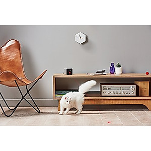 Petcube [2017 Item] Play Smart Pet Camera with Interactive Laser Toy. Remote Dog/Cat Monitoring with HD 1080p Video, Two-Way Audio, Night Vision, Sound/Motion Alerts. App-Enabled Pet and Home Safety