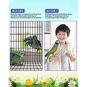 Bissap 6PCS Small Parrot Chew Toys, Sola Balls Parrot Chewing Foraging Toys Colorful Bird Foot Balls for Cockatiels Conures Cockatoos Parakeets Love Birds Small Parrot Cage Bite Toys