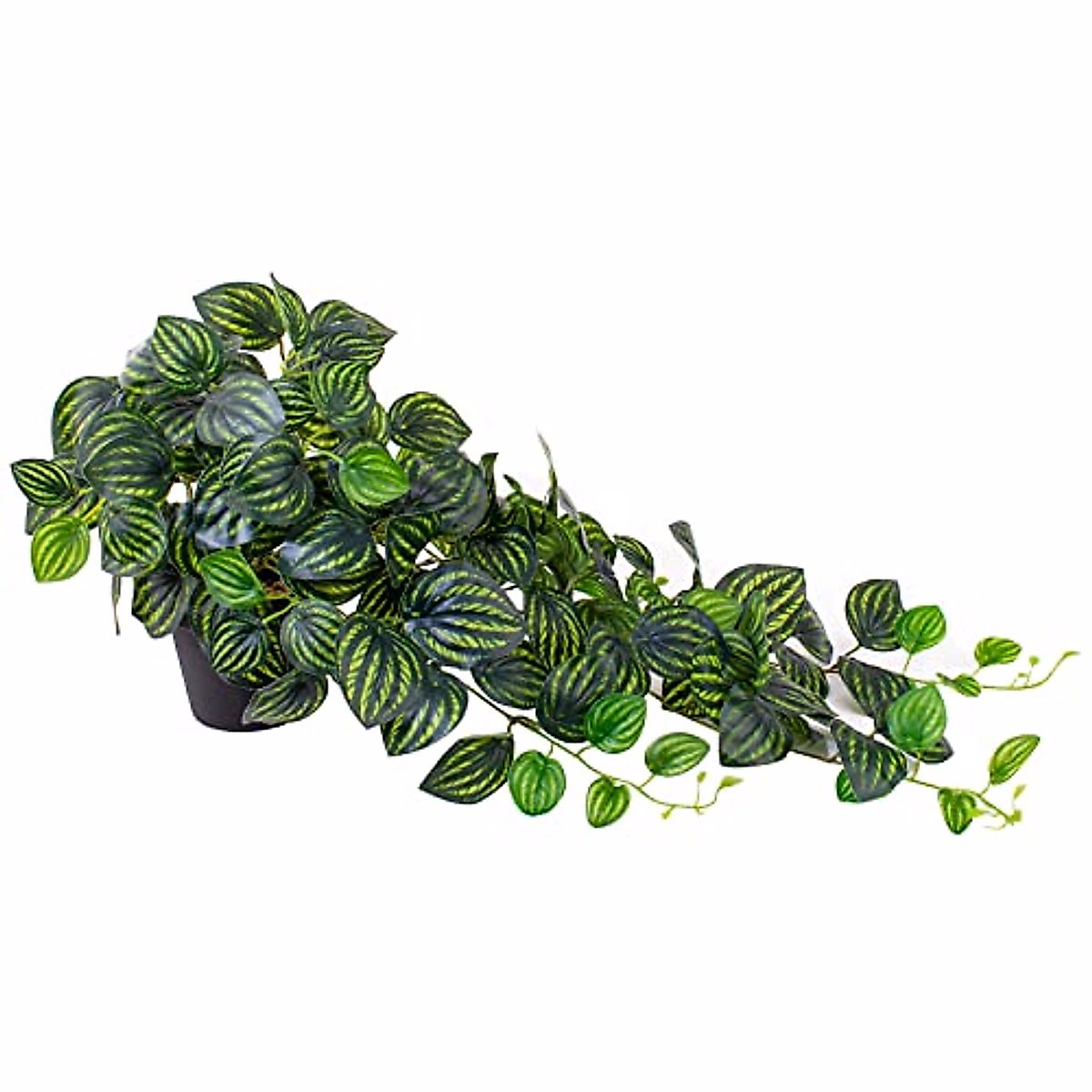 LOYWREE 28.7 Inch Faux Peperomia Watermelon Artificial Plants - Realistic Faux Plants in Pot for Indoor Outdoor Home Office Decor - Perfect Housewarming Gift