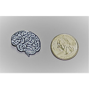 Lateral View Brain Pin