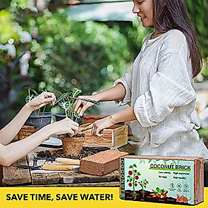 Hodiax Premium Coco Coir Brick, 1.4Lb High Nutrinent Compressed Coconut Soil, OMRI 100% Organic Low EC & PH Balanced Potting Soil for All Plants Gardening, Hydroponics and Reptile Substrate (650G x 2)
