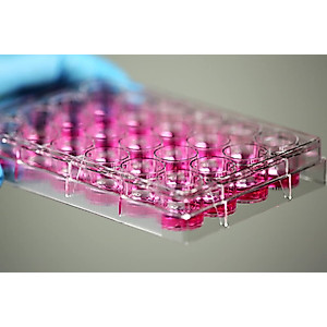 Nest Scientific 701002 96 Well Cell Culture Plate, Flat, TC, sterile 10/pk, 100/cs