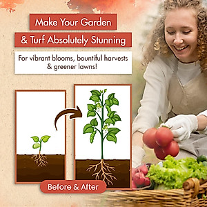 Muriate of Potash 0-0-60 Fertilizer, High Potassium Fertilizer for Plants, Ideal Plant Food & Potash Fertilizer for Plants - Boosts Growth of Turf, Shrubs, Trees, Flowers, Fruits & Vegetables, 5 lb