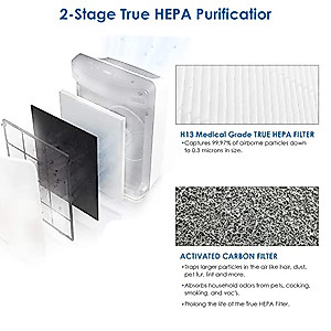 Flintar D360 H13 True HEPA Replacement Filter D3, Compatible with Winix D360 Air Purifier, H13 Grade True HEPA and 4 Activated Carbon Filters, Item Number 1712-0101-02, D3 Filter