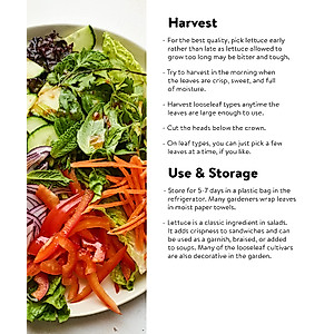 Burpee Looseleaf Blend Lettuce Seeds 1500 seeds