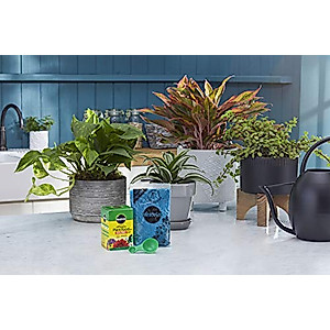 Miracle-Gro Indoor Plant Food Spikes, Includes 48 Spikes - Continuous Feeding for All Flowering and Foliage Houseplants - NPK 6-12-6, 1 Pack of 48 Spikes & Water Soluble All Purpose Plant Food, 8 Oz.