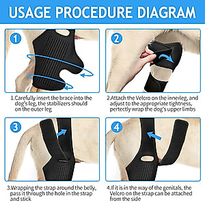 TONTONJIA Dog Knee Brace for Torn Acl Hind Leg Adjustable Dog Back Leg Support Brace, Dog Leg Brace for Hip Dysplasia, Better Recovery with Dog ACL Knee Brace (Medium)